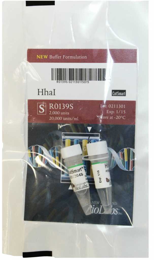 Рестриктаза HhaI (Time-Saver), США | Купить в СкайДжин